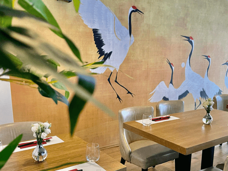 Japanische Spezialitäten mitten in Mannheim bei Senju